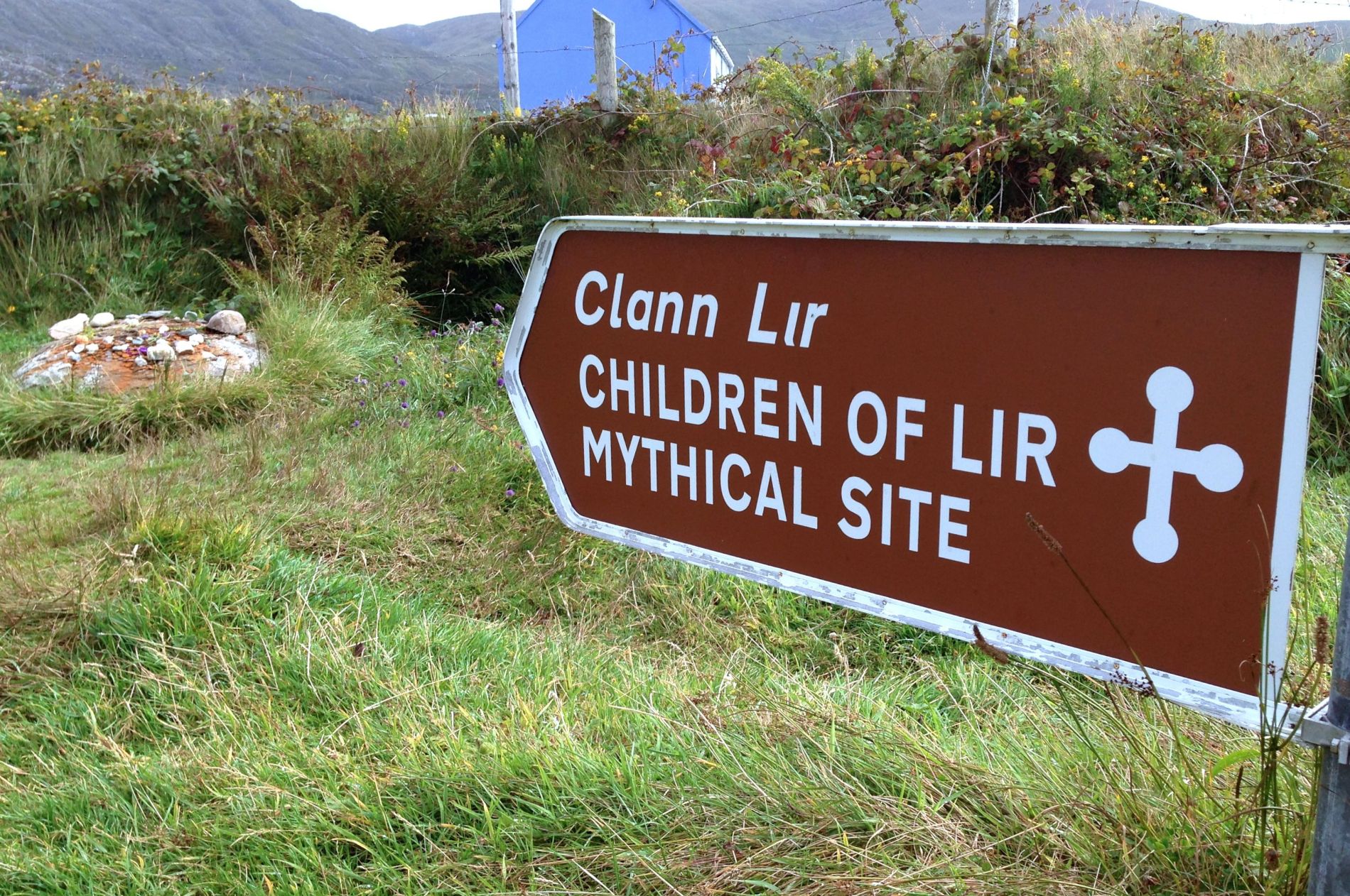 The Children of Lir | Roaringwater Journal