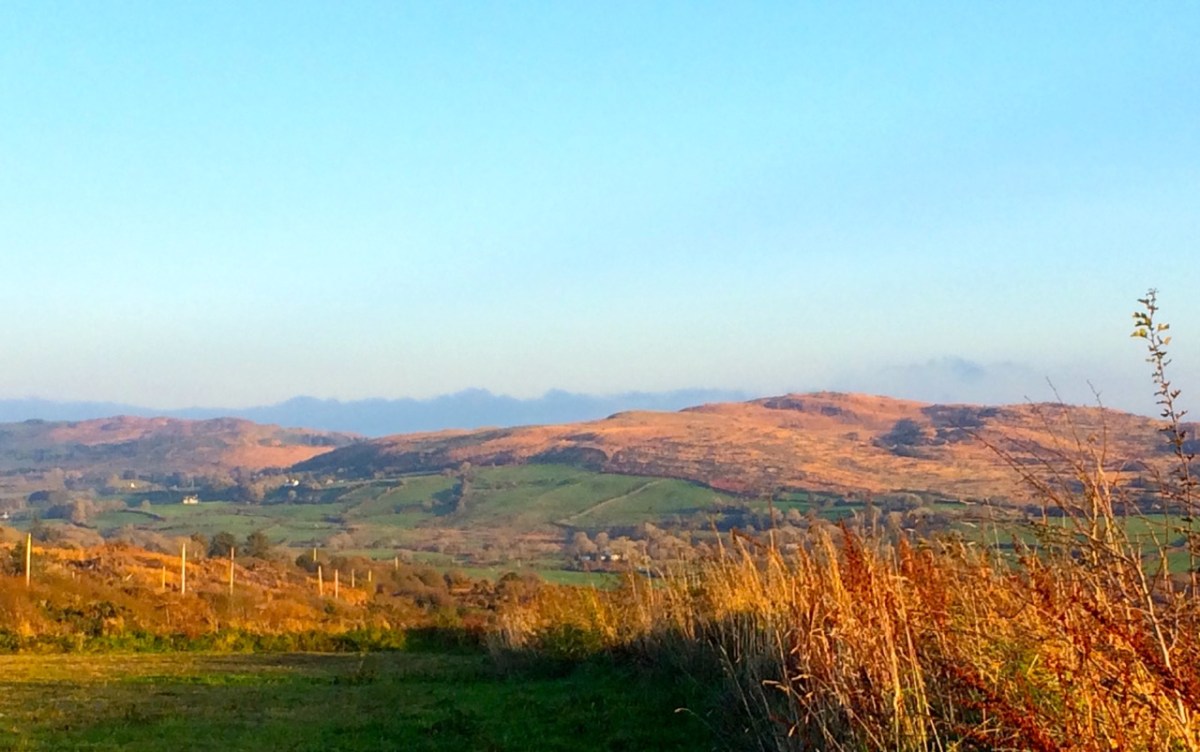 The Chief | Roaringwater Journal