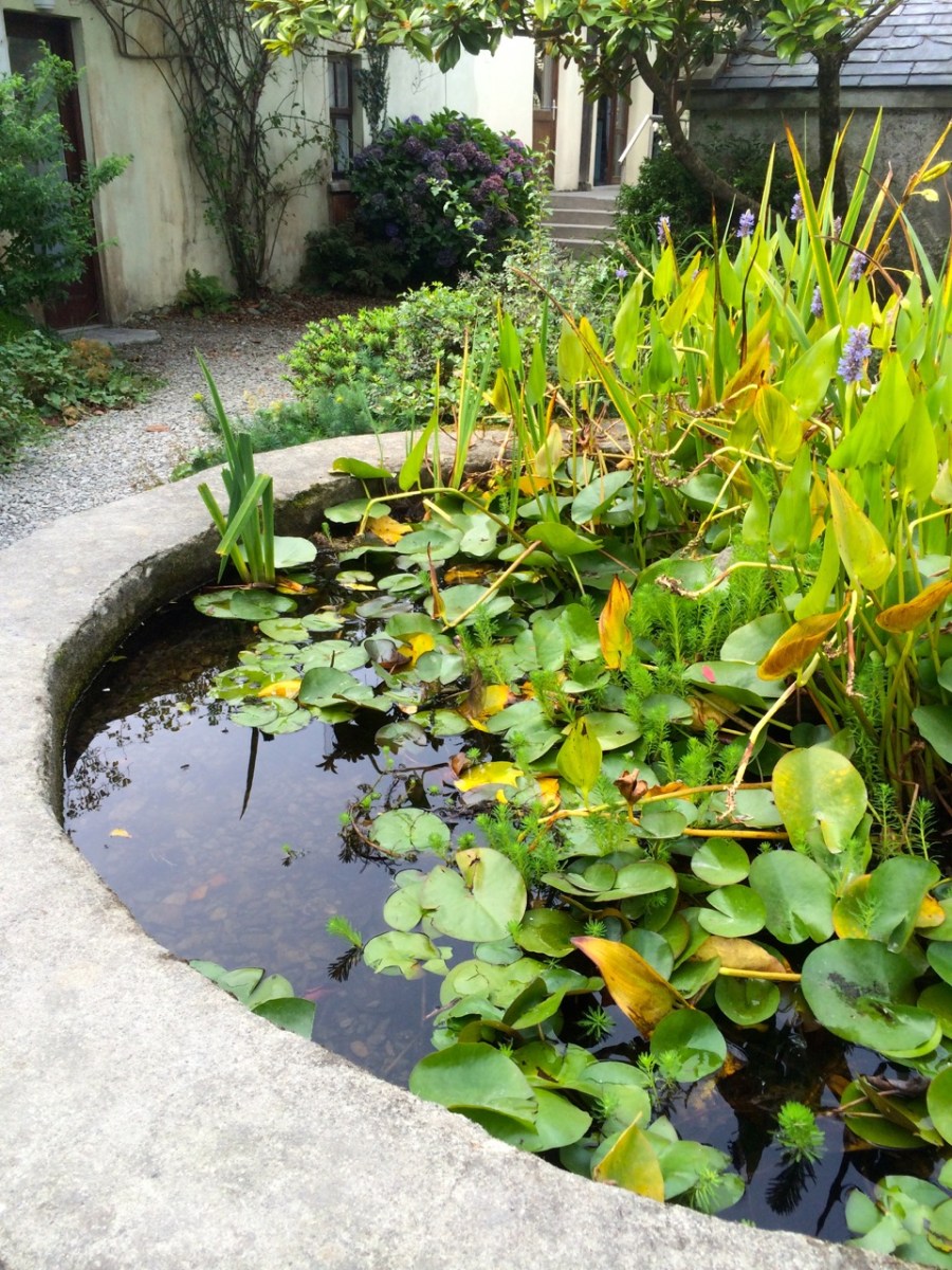 Glebe Gardens | Roaringwater Journal