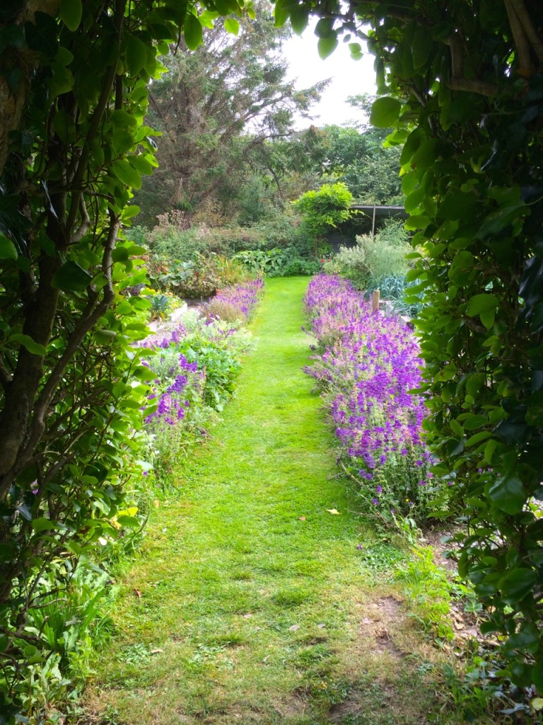 Glebe Gardens | Roaringwater Journal