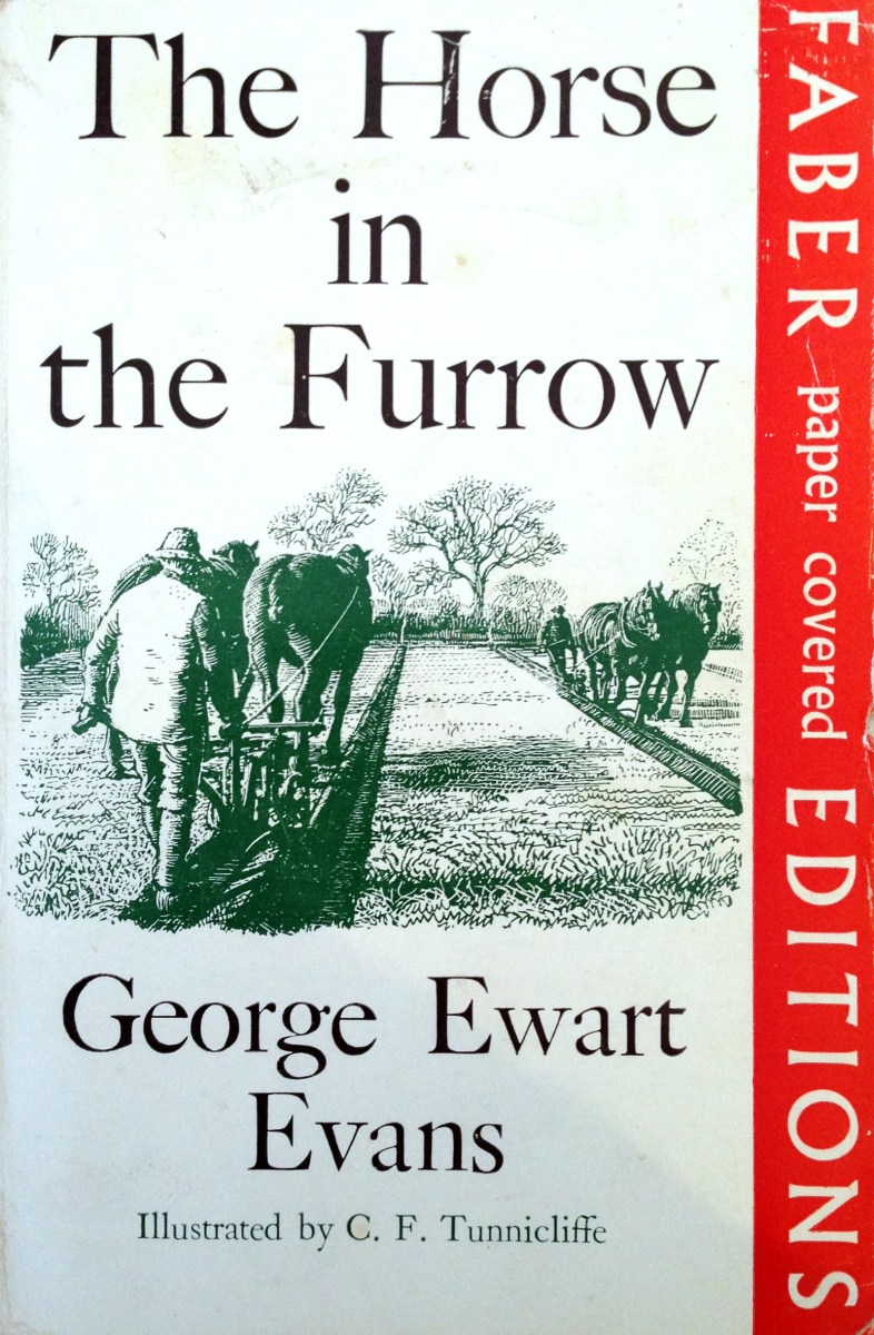 Gypsies | Roaringwater Journal