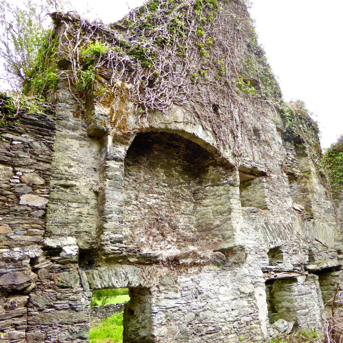 Fortified Manor Houses in West Cork – a Tudor Status Symbol ...