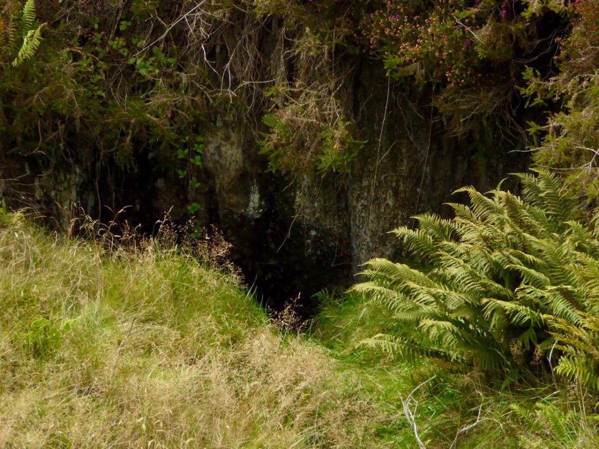 Irish Poldarks | Roaringwater Journal