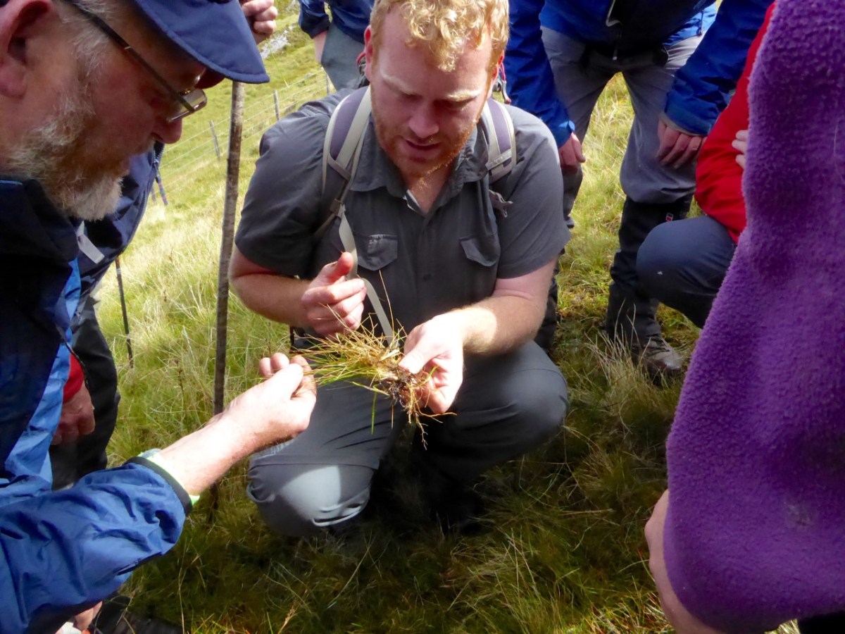 Rory talks roots | Roaringwater Journal