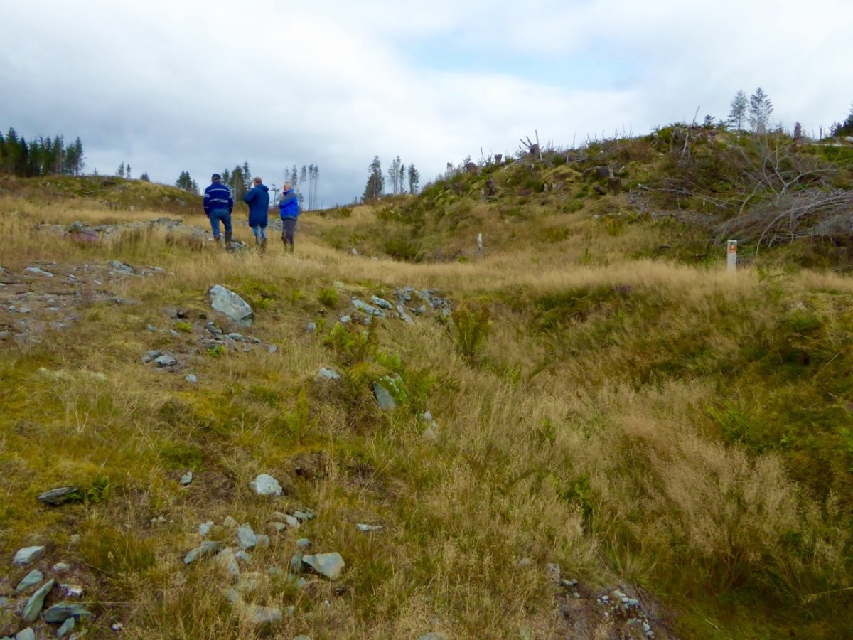 Irish Poldarks | Roaringwater Journal