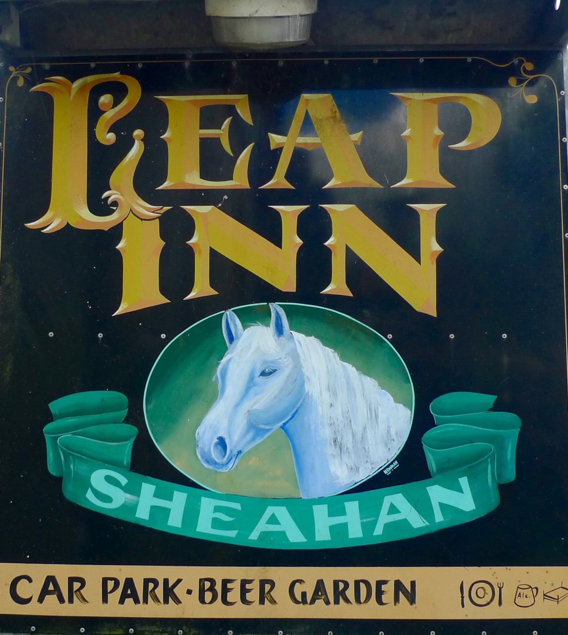 Leap Inn | Roaringwater Journal