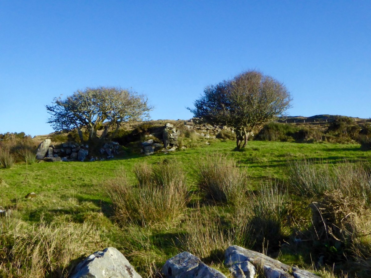 The Booley | Roaringwater Journal