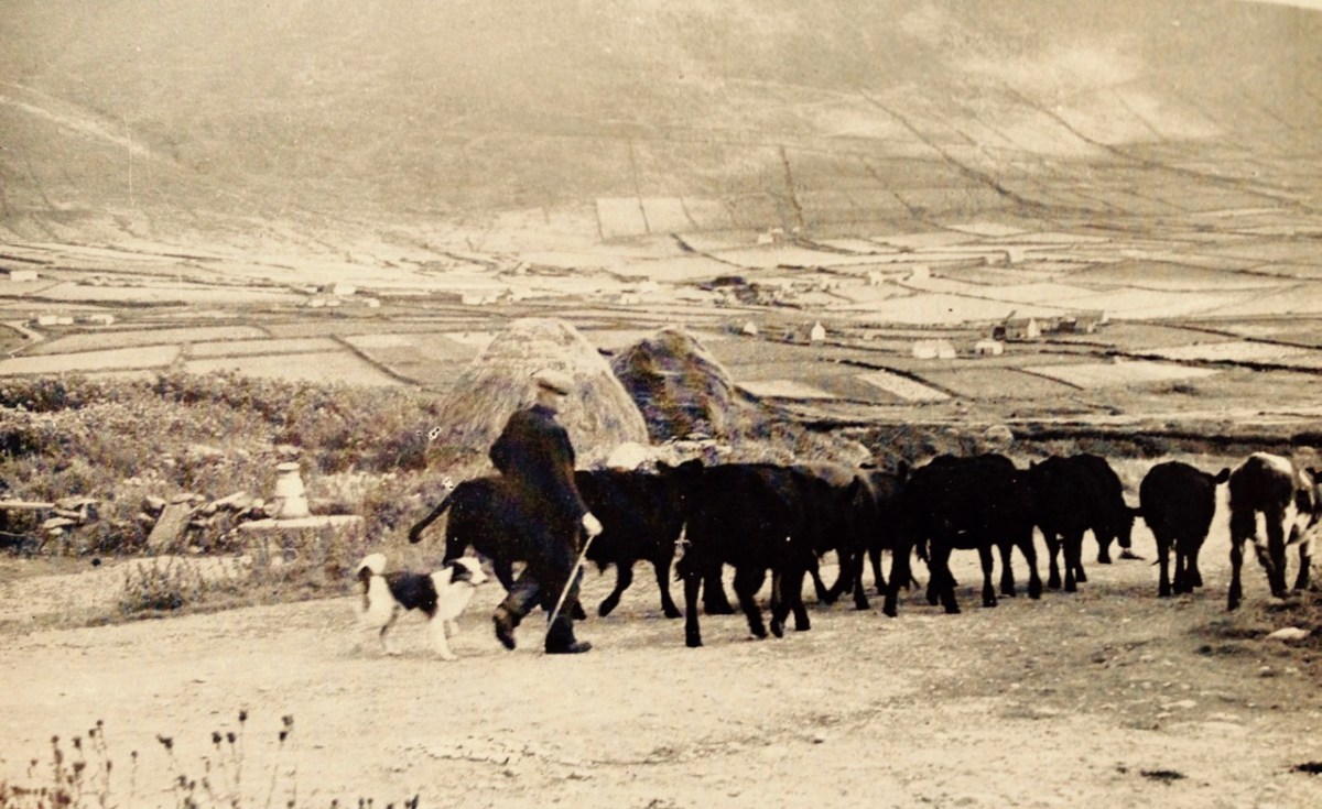 The Booley | Roaringwater Journal