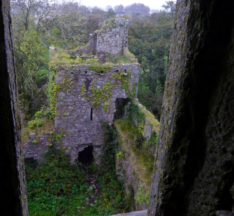 Illustrating the Tower House: A Guest Blog (sort of) | Roaringwater Journal