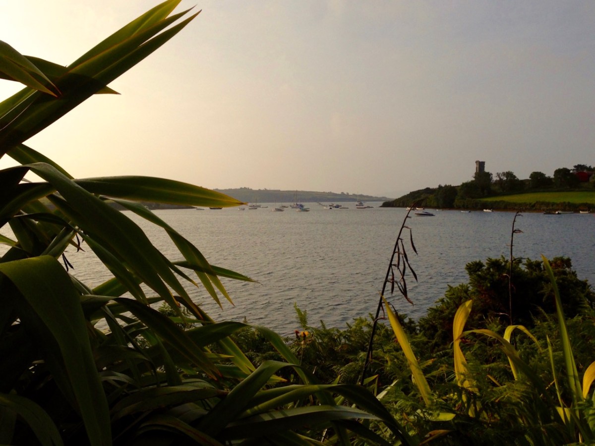 Words on Roaring Water | Roaringwater Journal