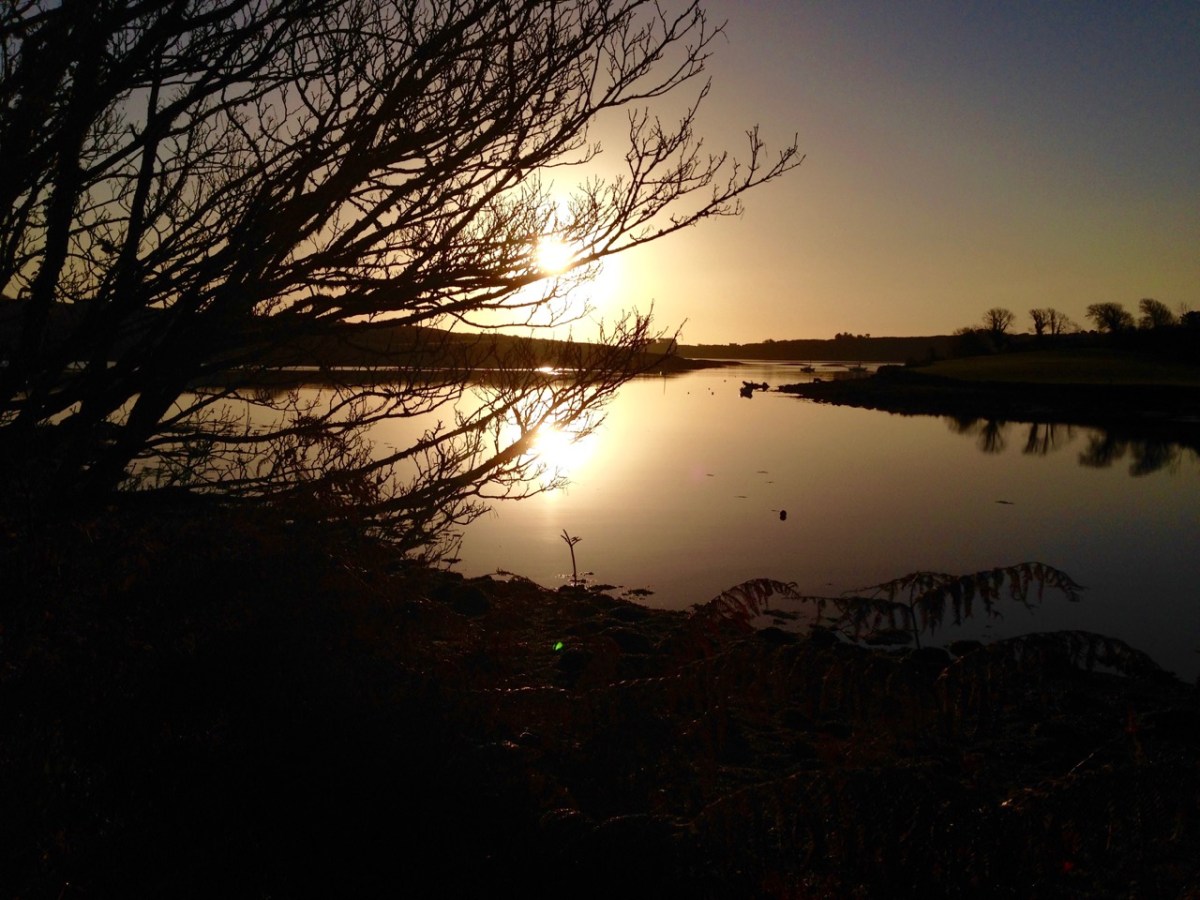 Words on Roaring Water | Roaringwater Journal