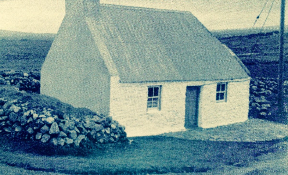 The City of Shrone – and a talking cow! | Roaringwater Journal