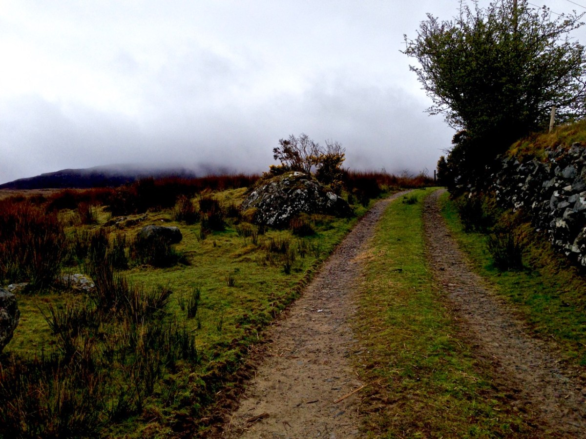 The City of Shrone – and a talking cow! | Roaringwater Journal