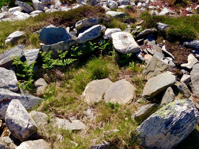 Cape Clear: The Stone That Moved | Roaringwater Journal