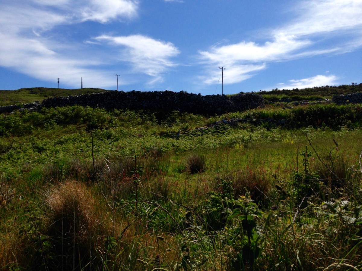 Cape Clear: The Stone That Moved | Roaringwater Journal