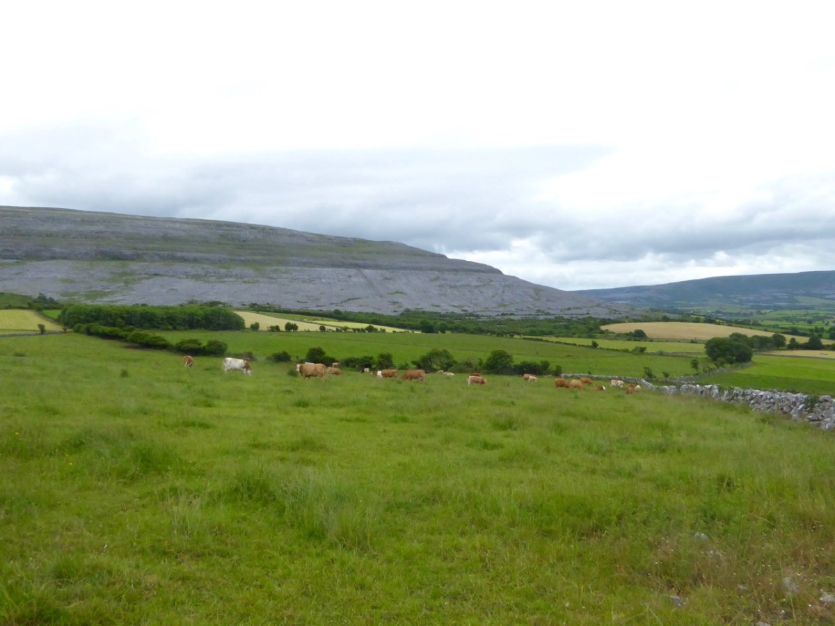 Ireland’s Hidden Gems | Roaringwater Journal