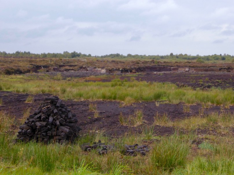 Tracking the Past | Roaringwater Journal
