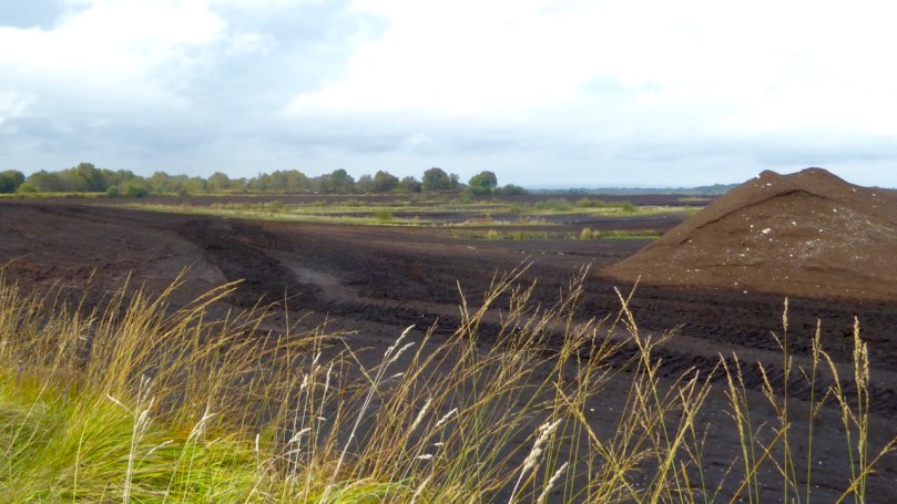 Tracking the Past | Roaringwater Journal