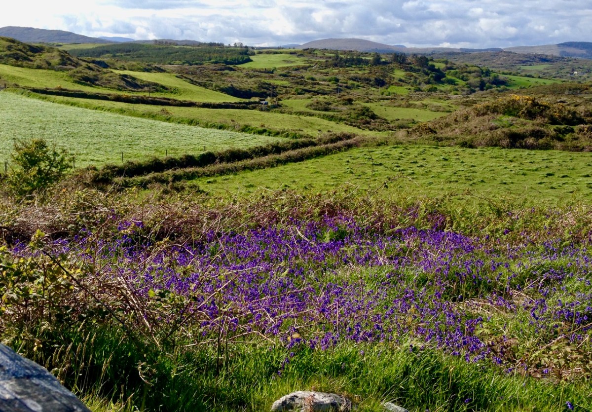 Spring Green | Roaringwater Journal