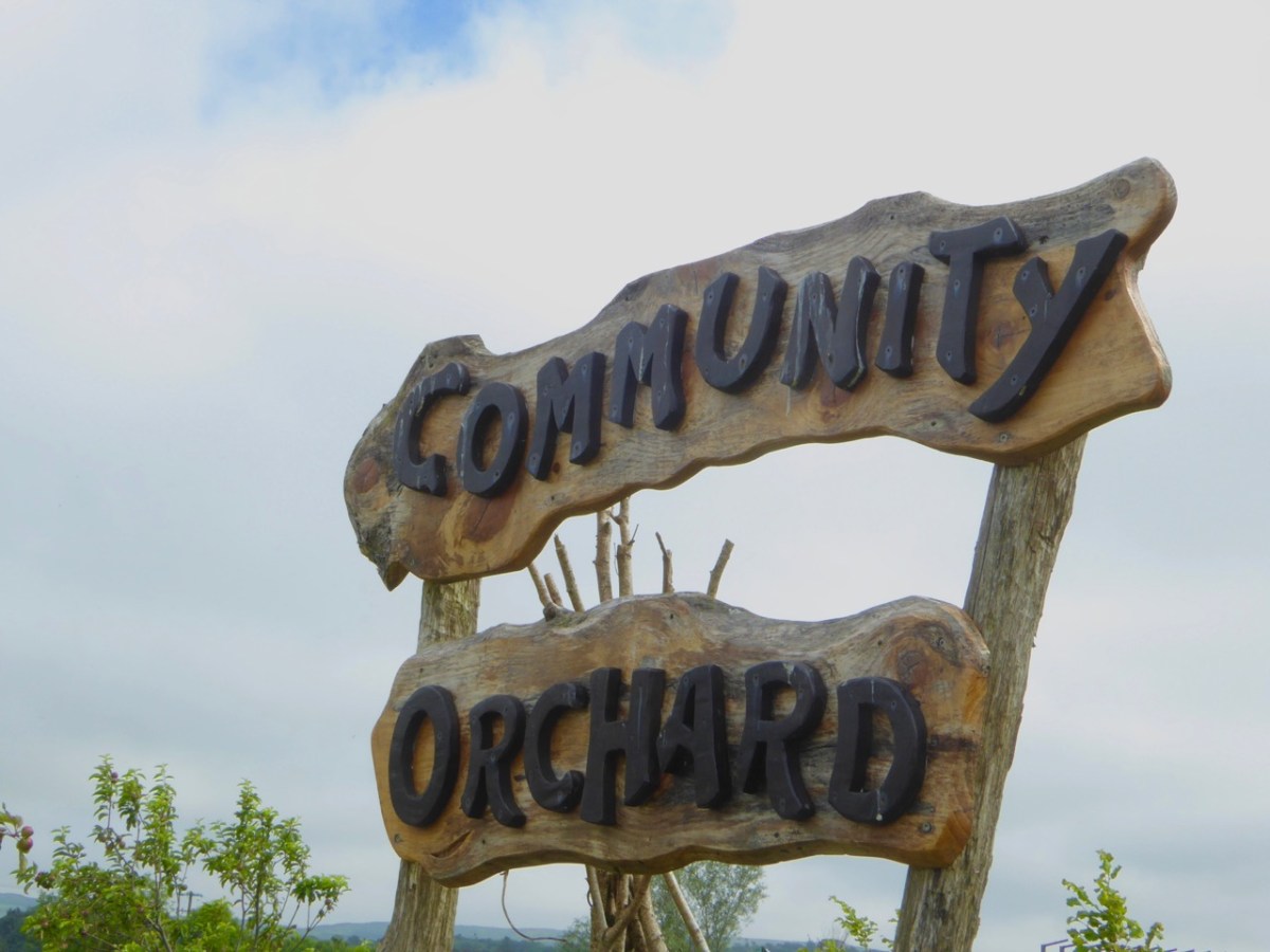 Community Orchard Sign | Roaringwater Journal