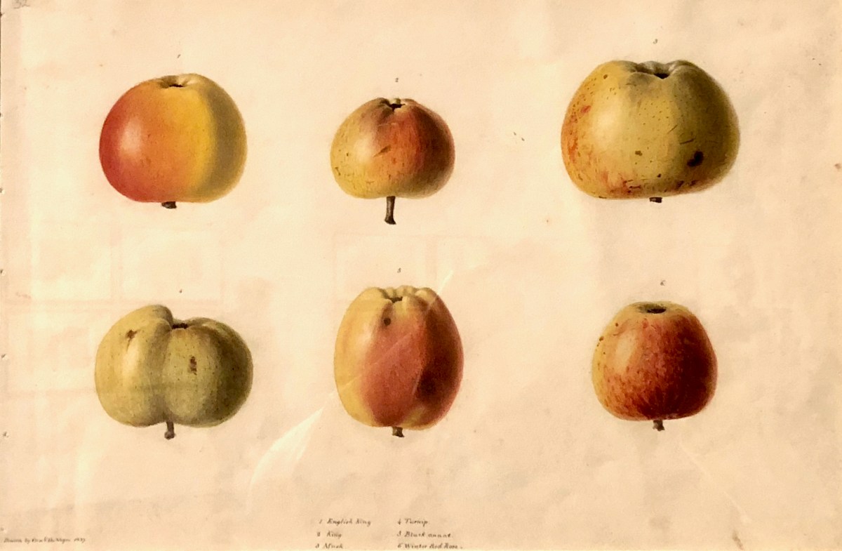 George Victor Du Noyer at the Crawford Gallery | Roaringwater Journal