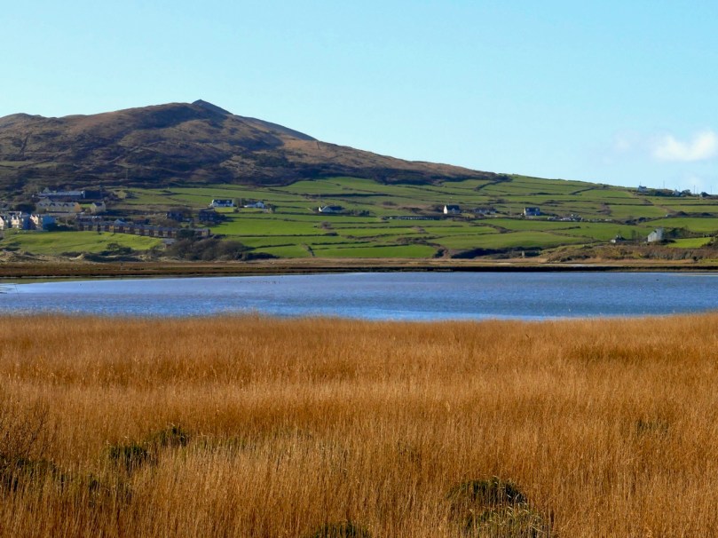 Mizen Magic 8: The Altar | Roaringwater Journal