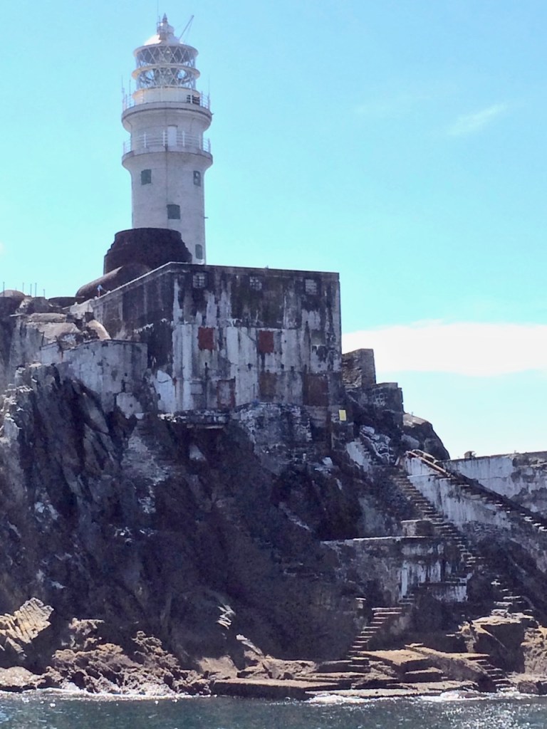 Fastnet Rock | Roaringwater Journal