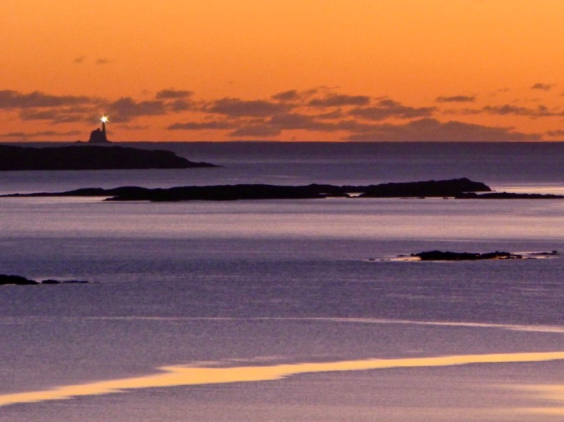 Fastnet Rock | Roaringwater Journal