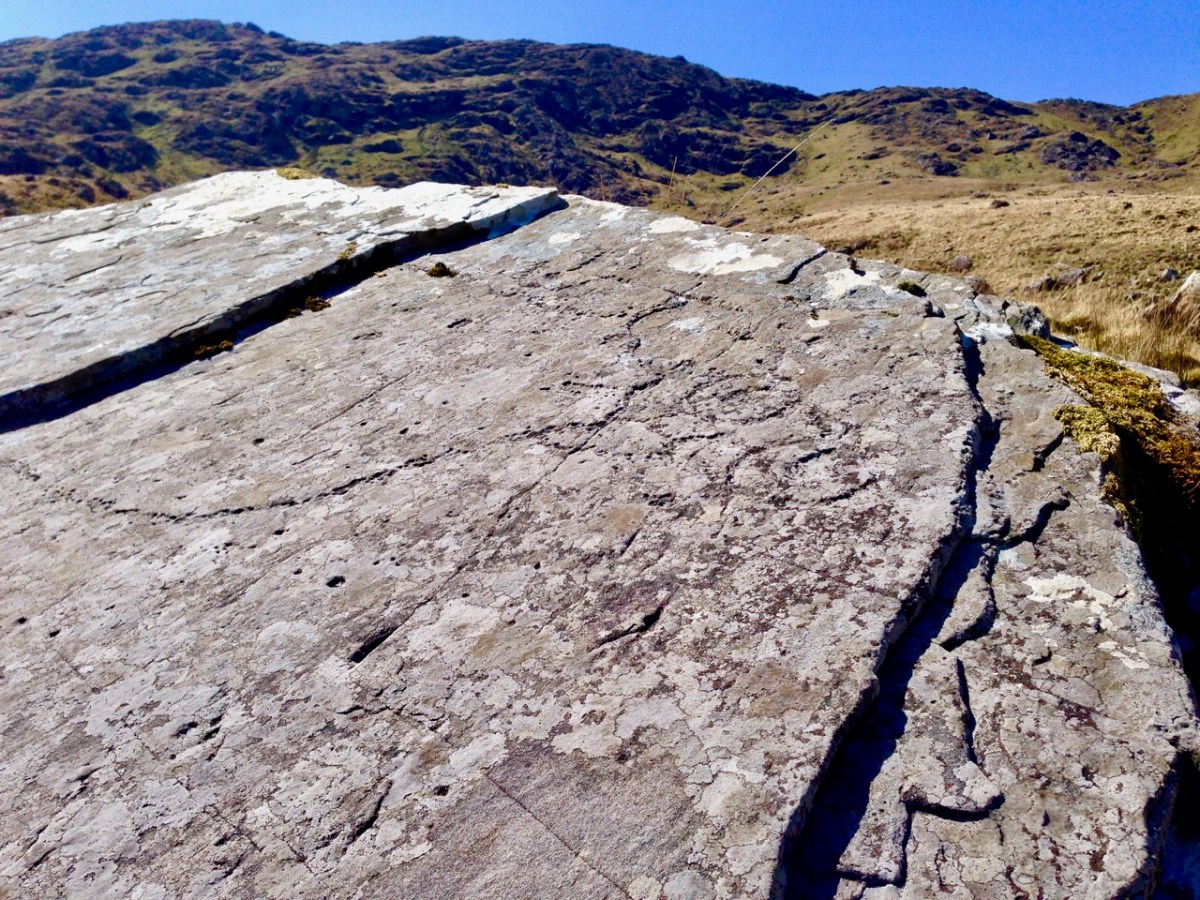Rock Art: Returning to Derrynablaha | Roaringwater Journal