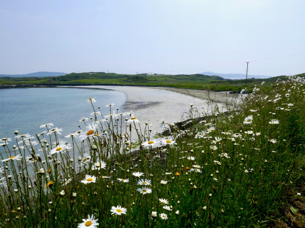 Heir Island – a Modern Paradise | Roaringwater Journal