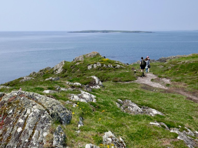 Heir Island – a Modern Paradise | Roaringwater Journal