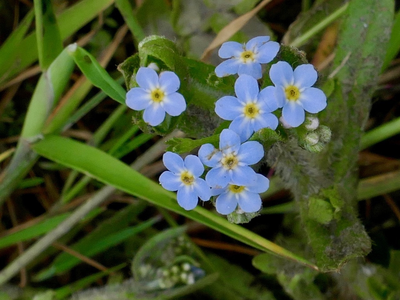 Heir Island – a Modern Paradise | Roaringwater Journal