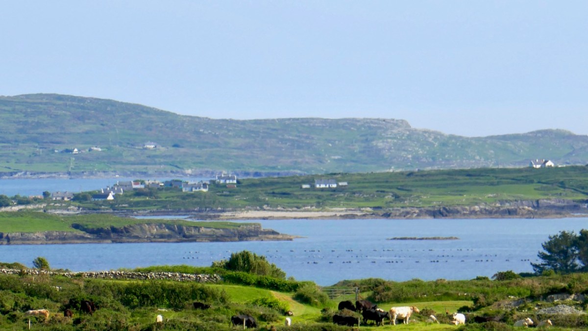 Heir Island – a Modern Paradise | Roaringwater Journal