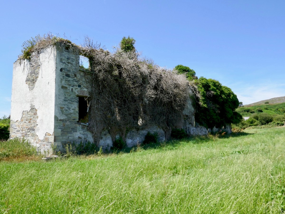 Art and the Workhouse | Roaringwater Journal