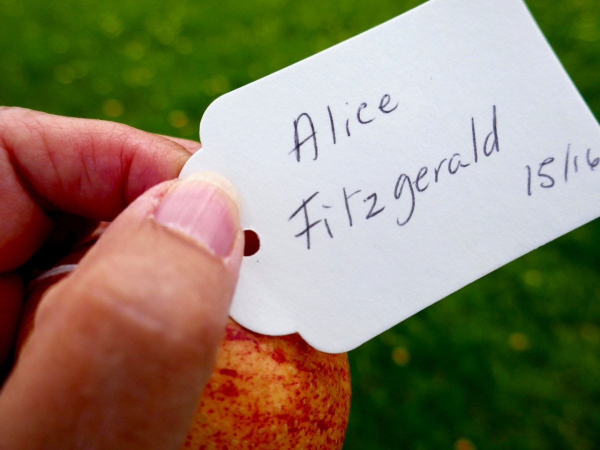 Art and the Workhouse | Roaringwater Journal