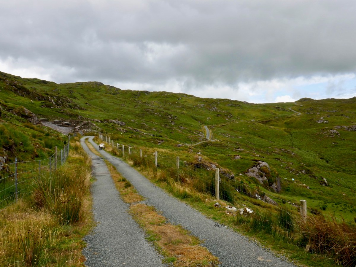 The Priest’s Leap | Roaringwater Journal