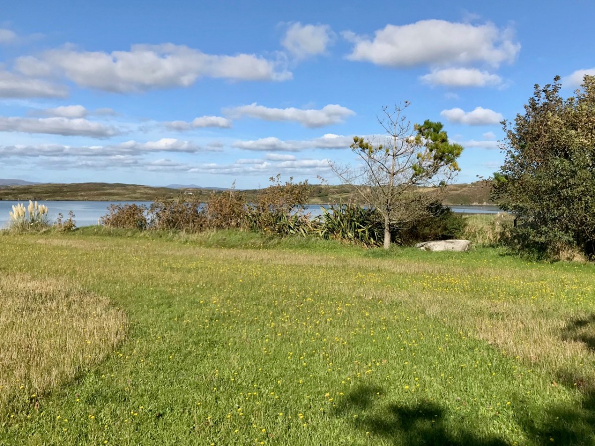 A Walk on Sherkin Island | Roaringwater Journal