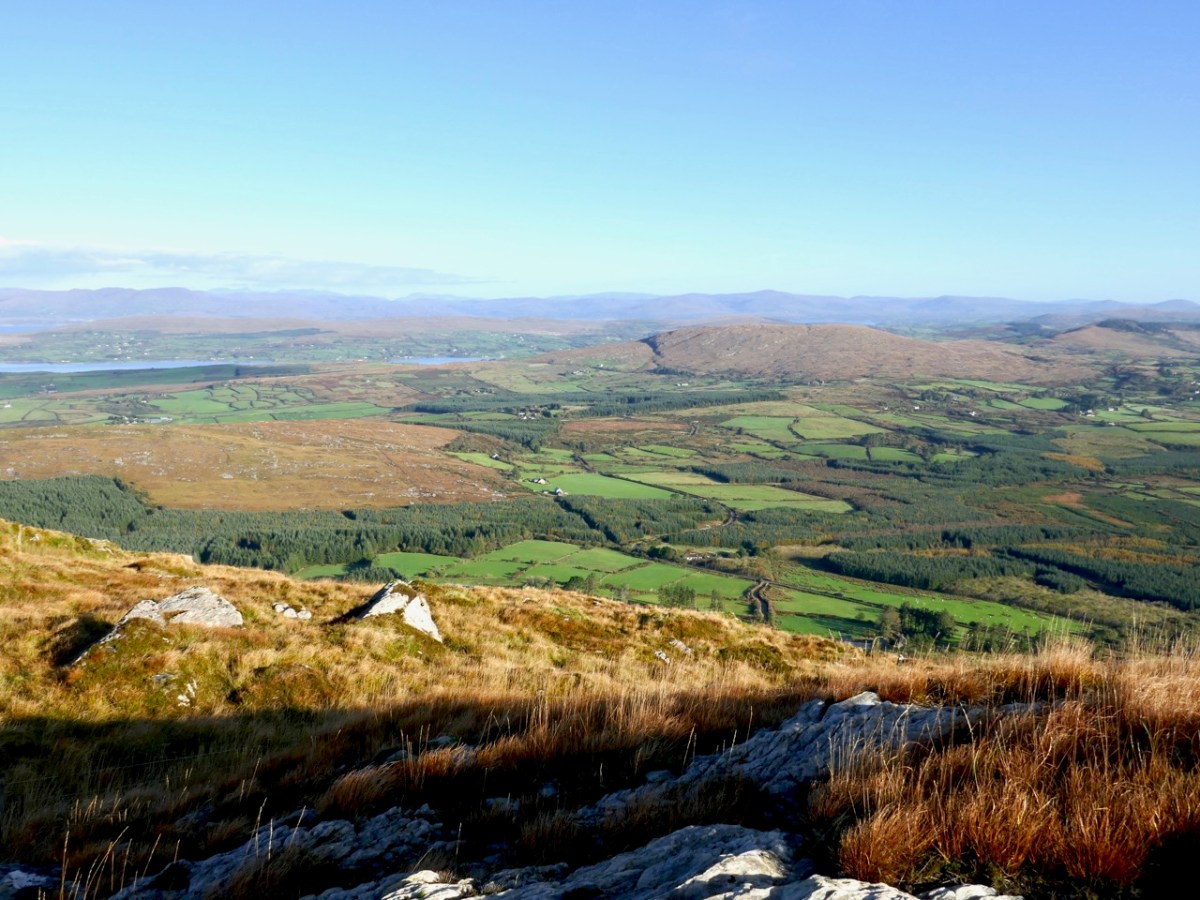 Roaringwater Journal