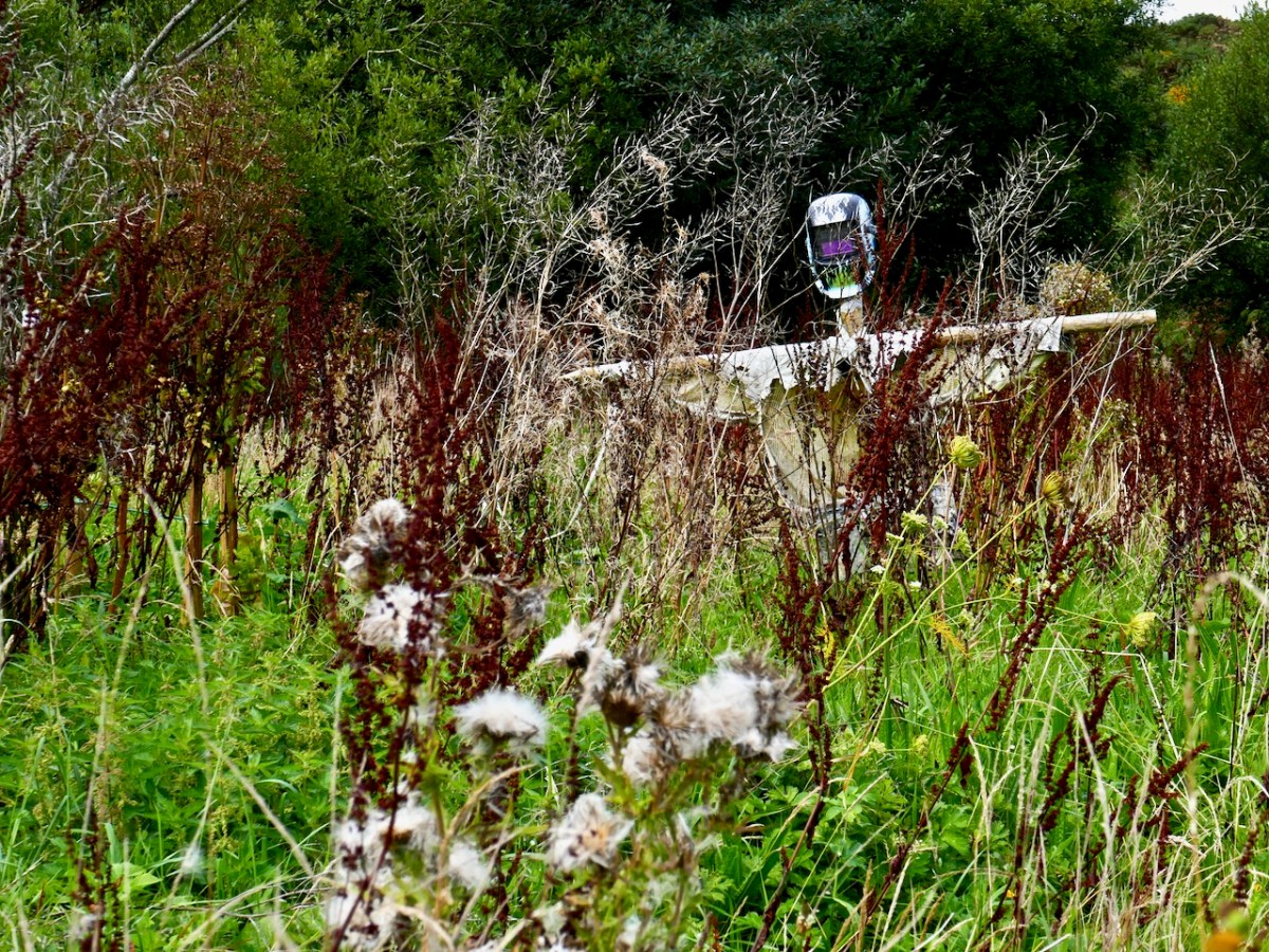 Irish Landscape | Roaringwater Journal