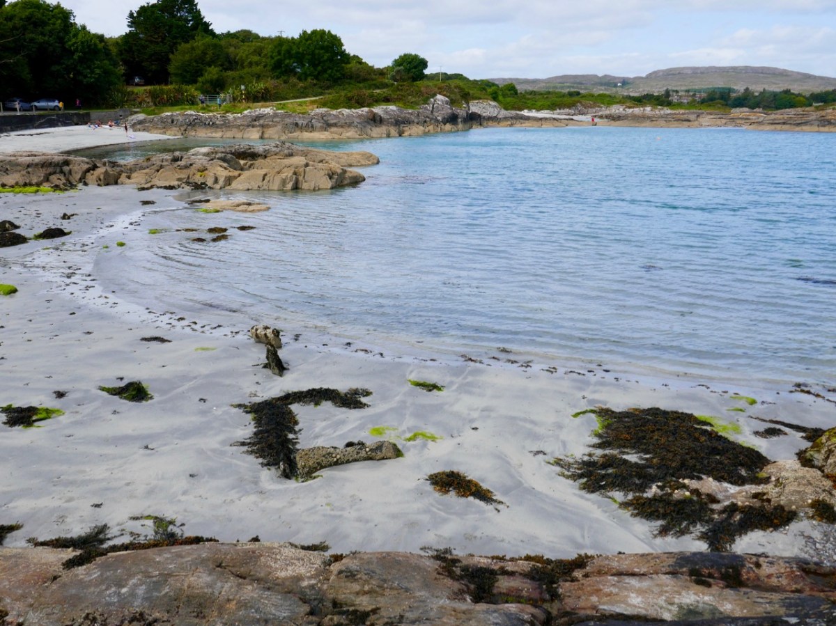 West Cork Obscura – Finola’s Picks | Roaringwater Journal