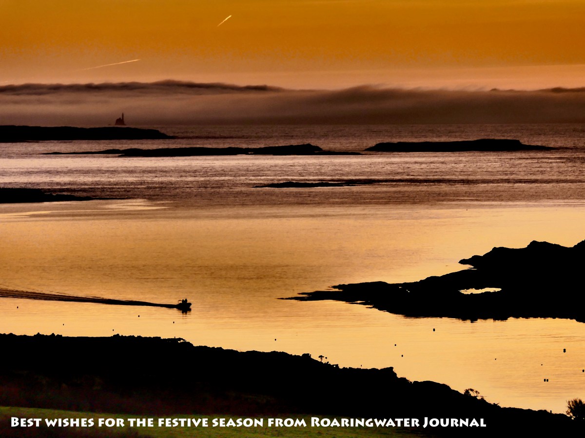 Image | Formats | Roaringwater Journal