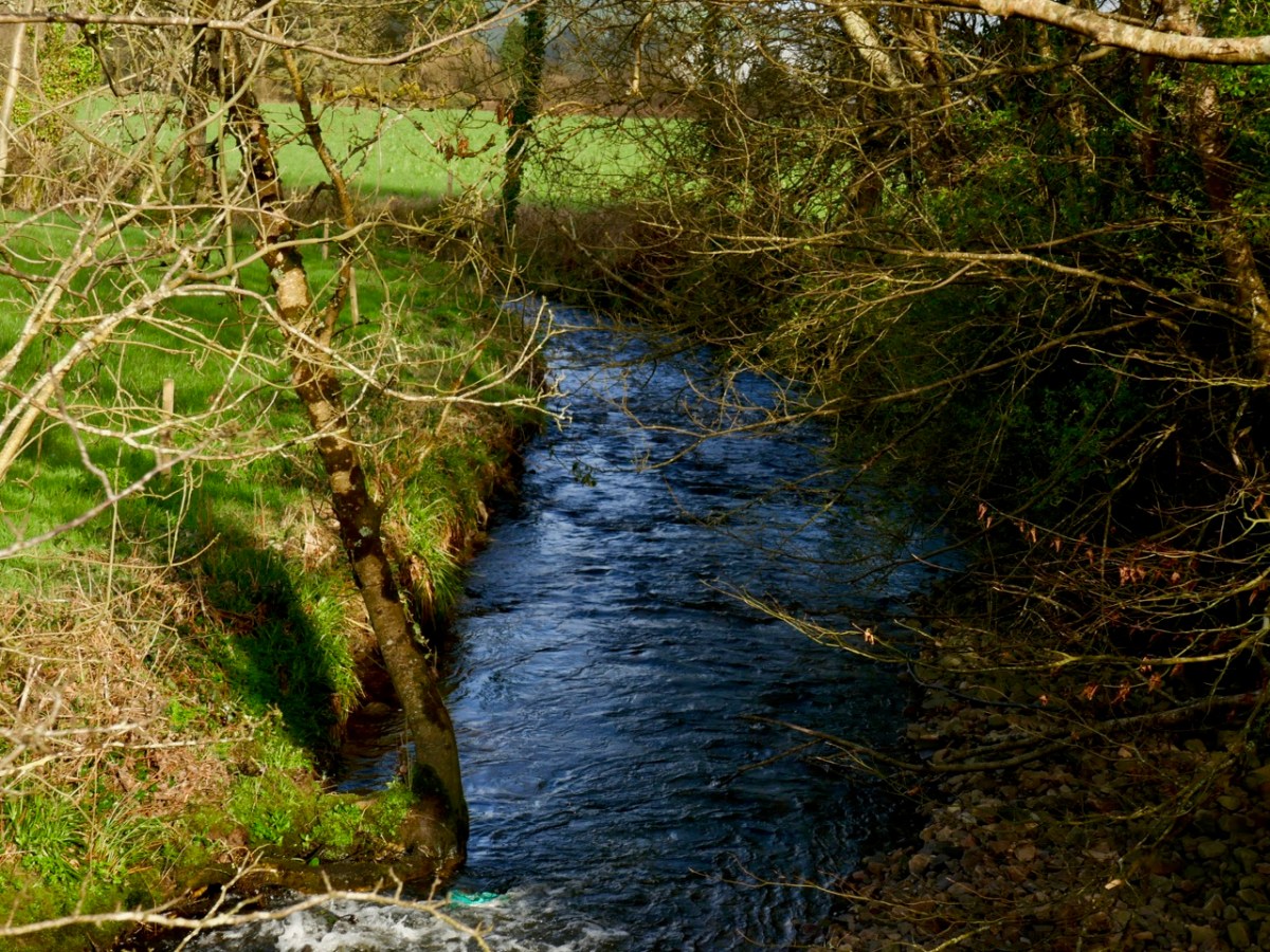 Abhainn na Seangán – River of the Ants – A Look Back | Roaringwater Journal