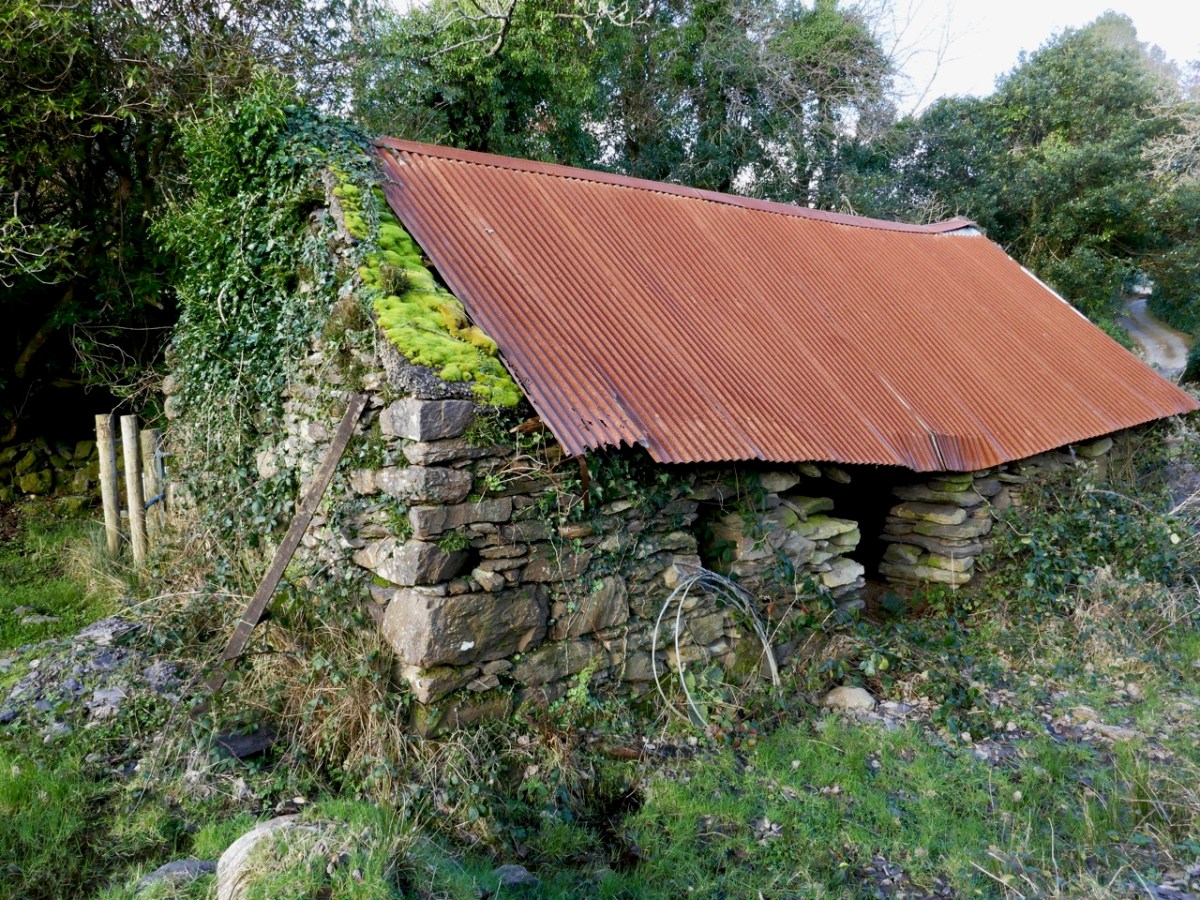 Corrie Lake | Roaringwater Journal