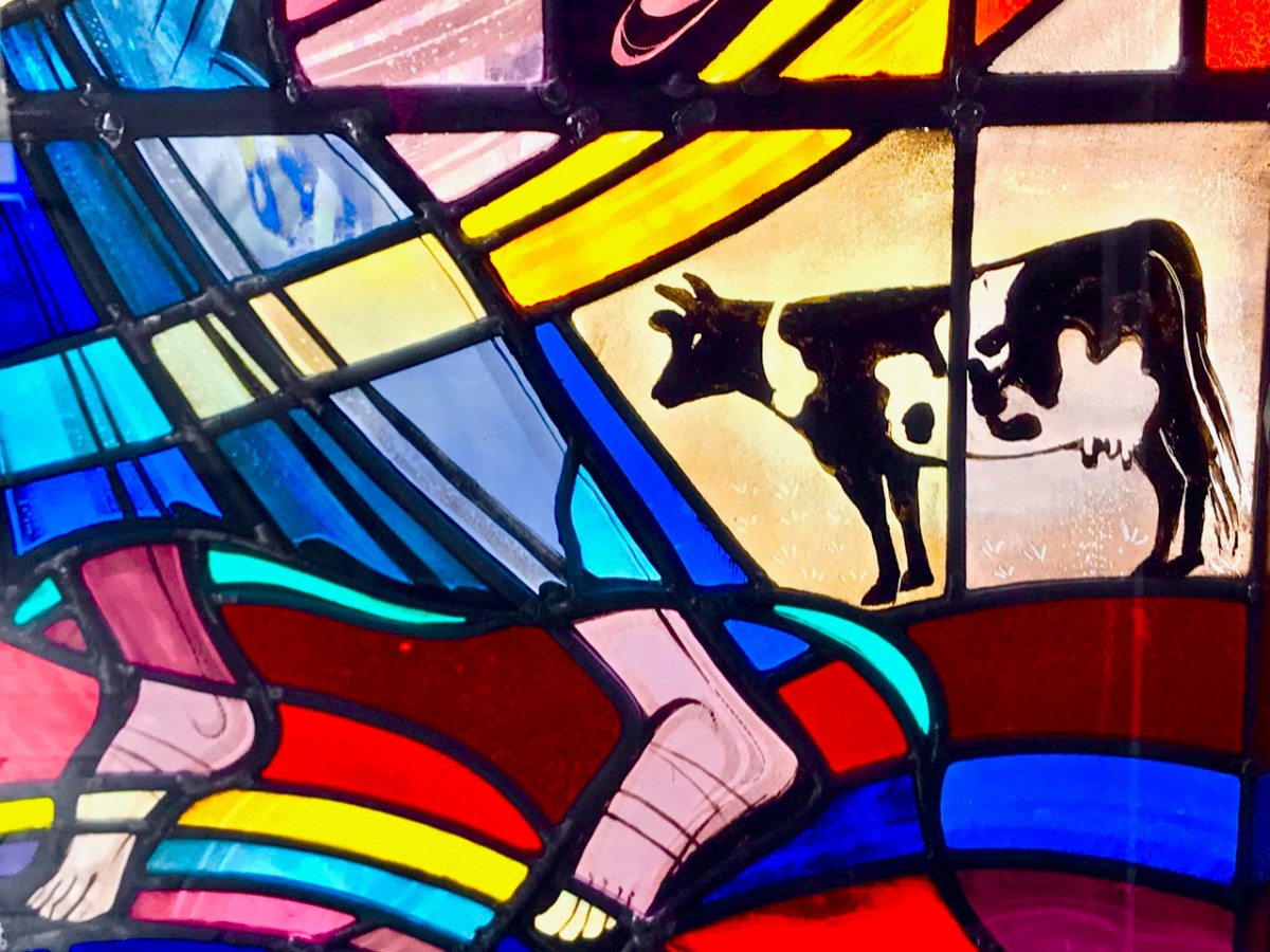 Saint Manchan, his Miraculous Cow, and his Shrine | Roaringwater Journal