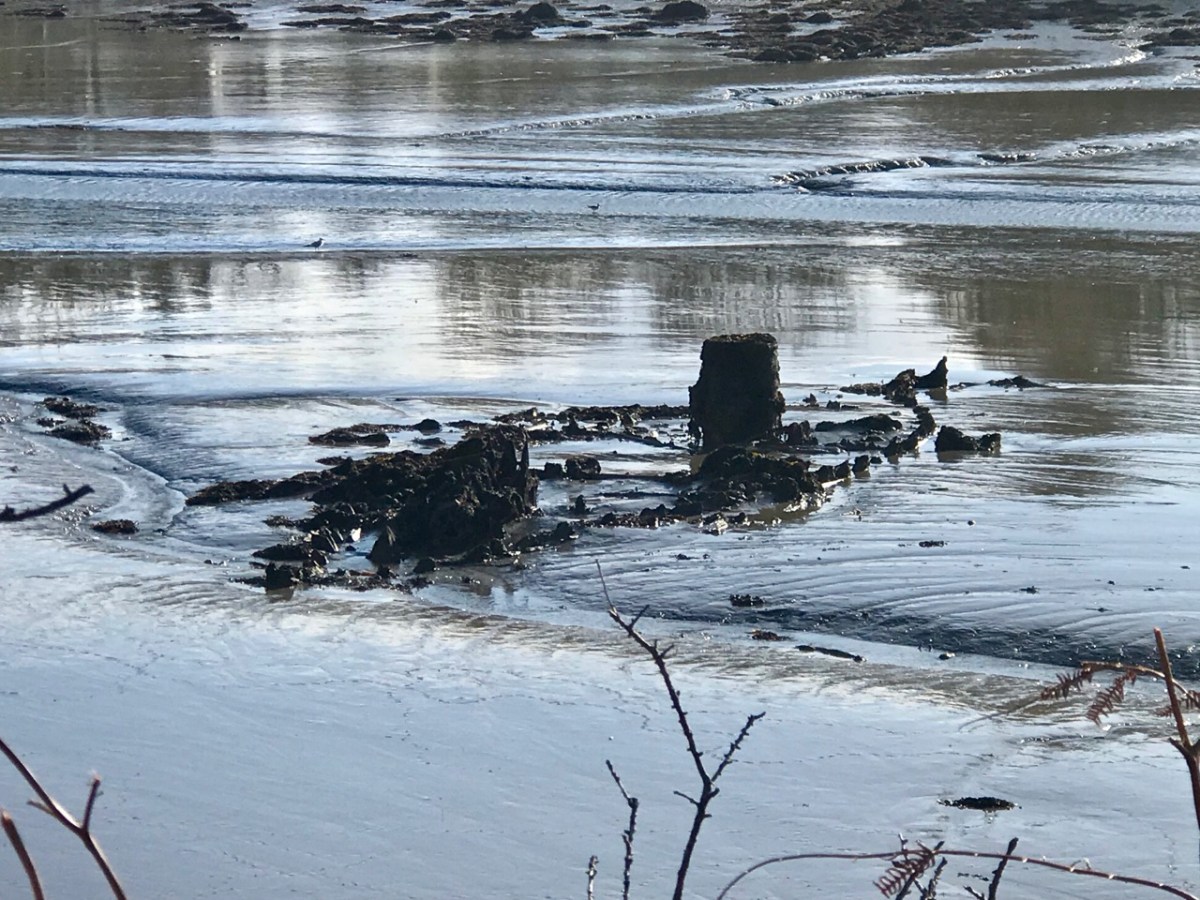 Manx Nobby | Roaringwater Journal