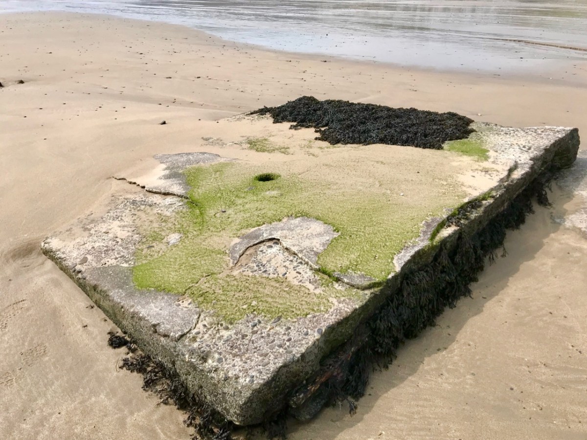 The Monster of Red Strand! | Roaringwater Journal