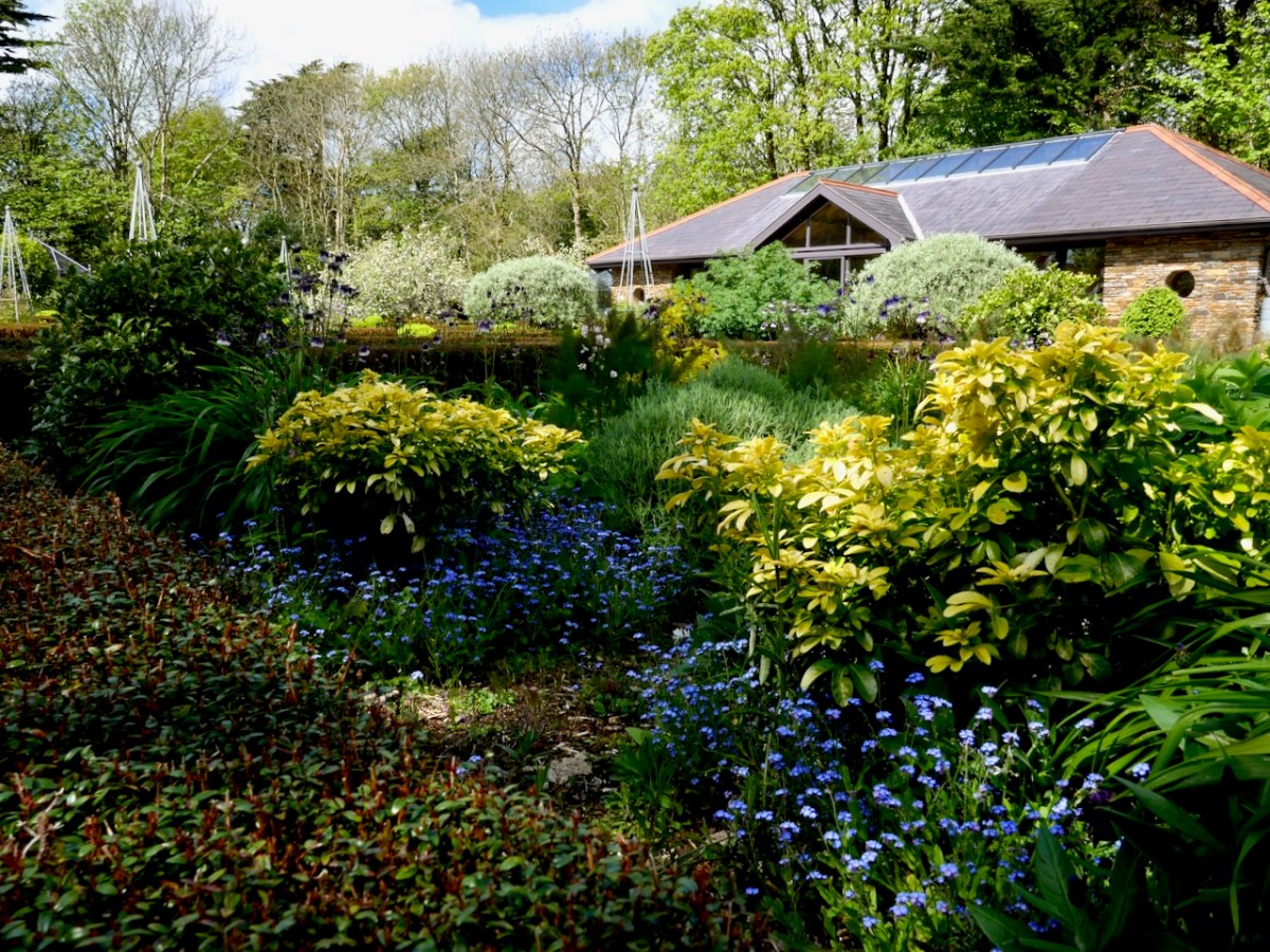 Inish Beg Estate: Ancient Woods and New Discoveries | Roaringwater Journal