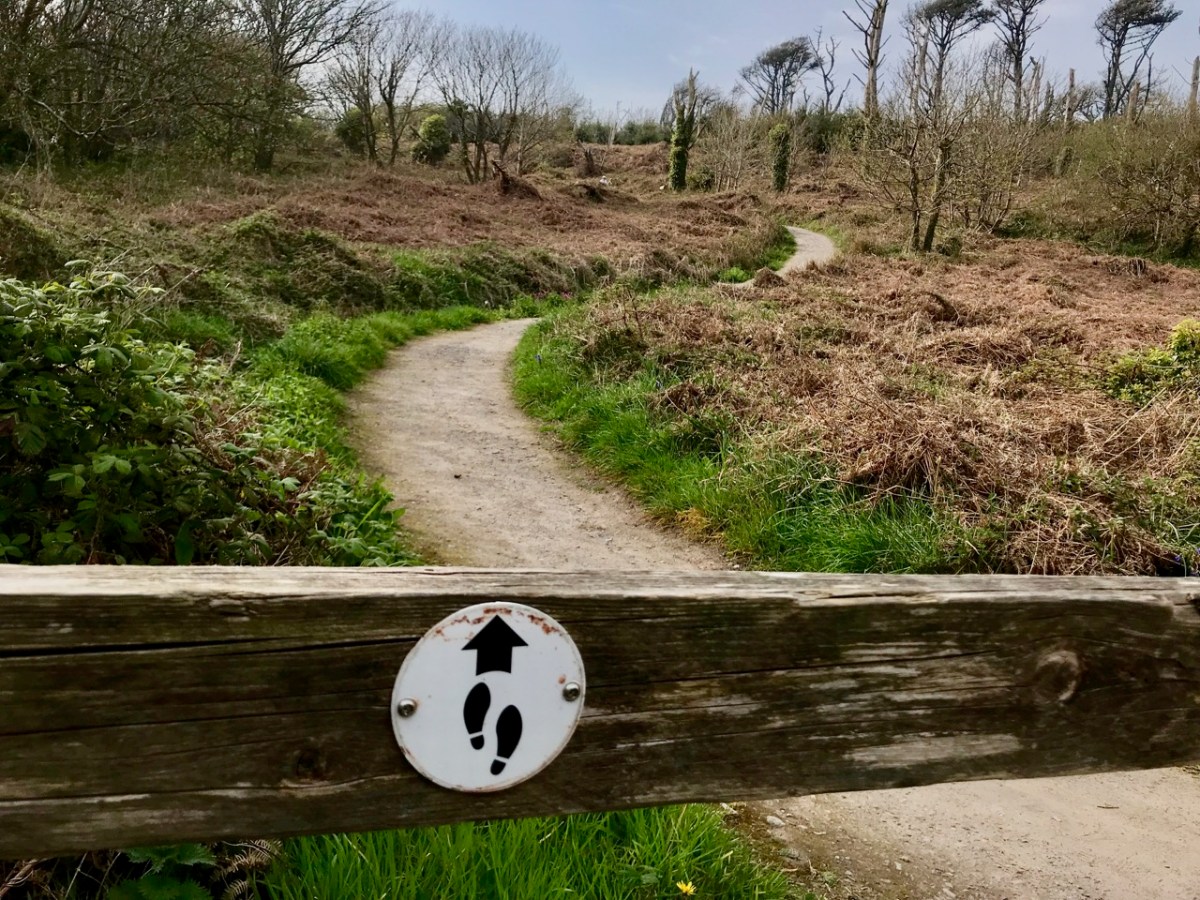 Lady Carbery’s High Cross | Roaringwater Journal