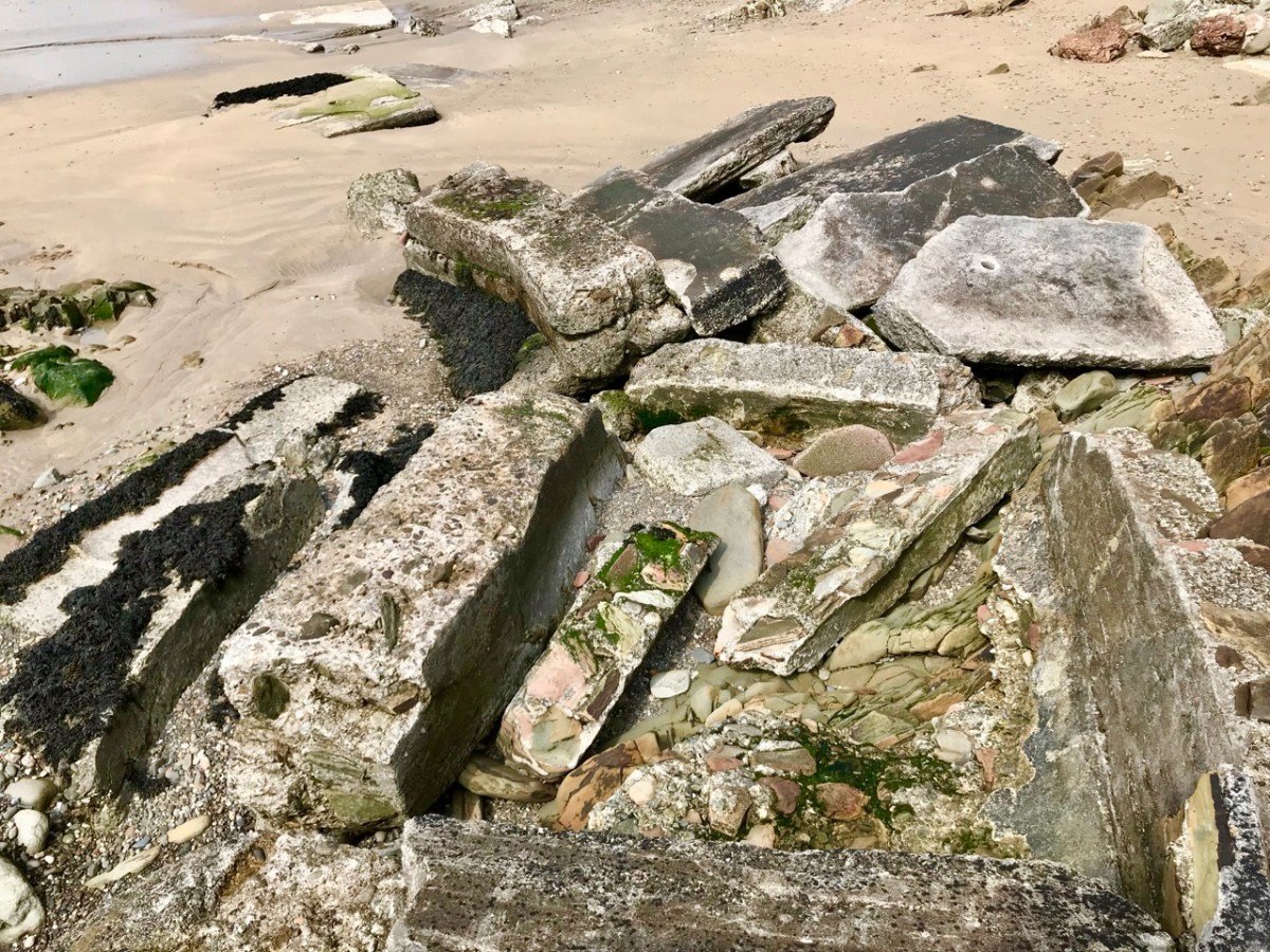 The Monster of Red Strand! | Roaringwater Journal