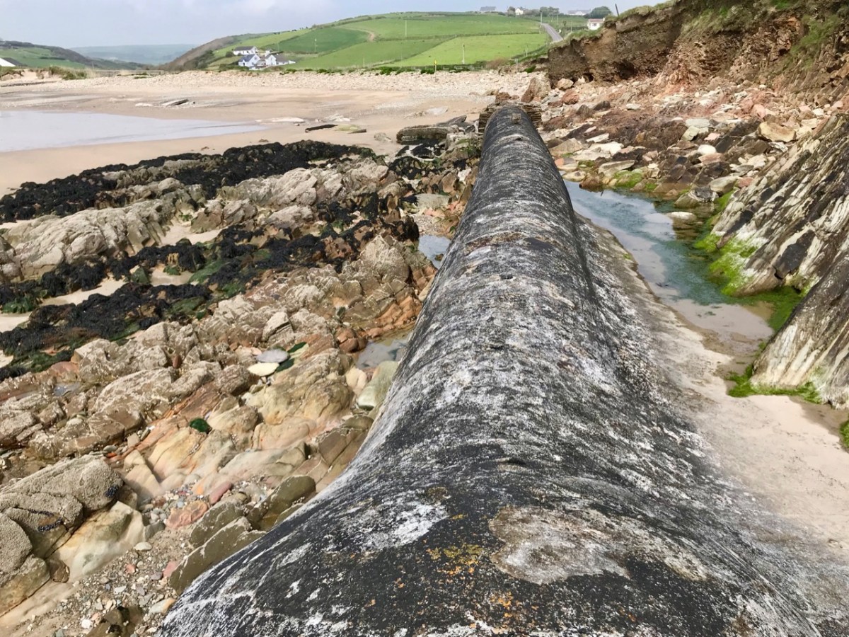 The Monster of Red Strand! | Roaringwater Journal